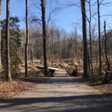 Lake Conestee Nature Trail and Swamp Rabbit Trail, South Carolina - 305 ...