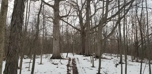 Best Hikes and Trails in Canard Valley Conservation Area | AllTrails