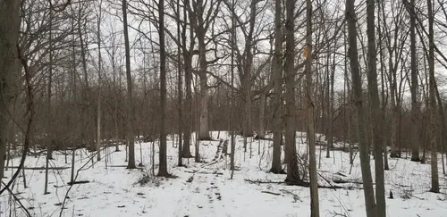 Best Hikes and Trails in Canard Valley Conservation Area | AllTrails