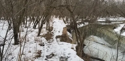 Best Hikes and Trails in Canard Valley Conservation Area | AllTrails