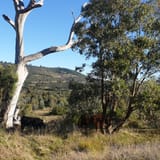 Narrabundah Hill, Australian Capital Territory, Australia - 150 Reviews ...