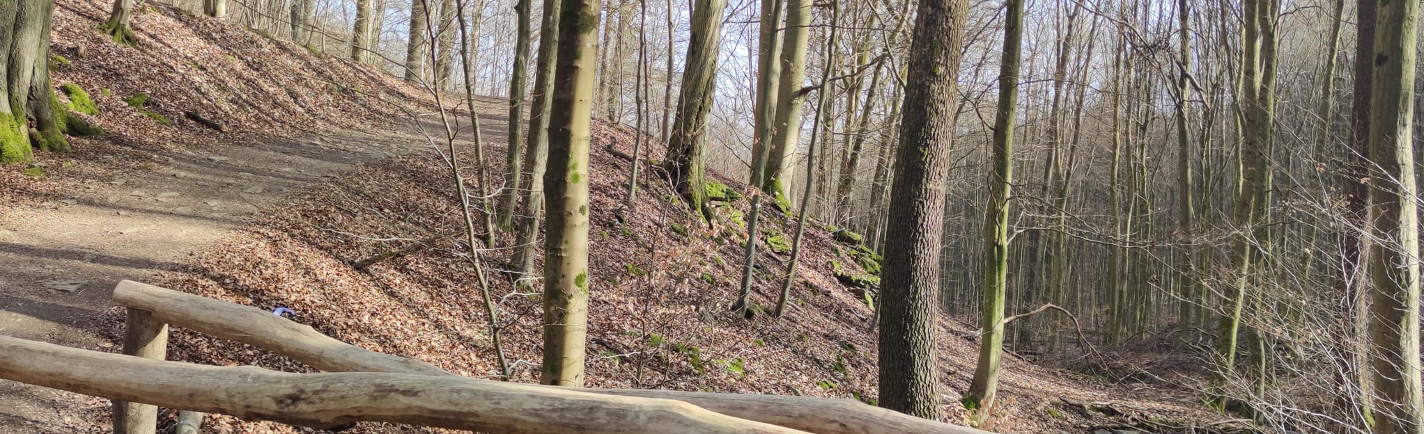 Premium hiking trail: Urwald Tour: 66 Reviews, Map - Saarland, Germany ...