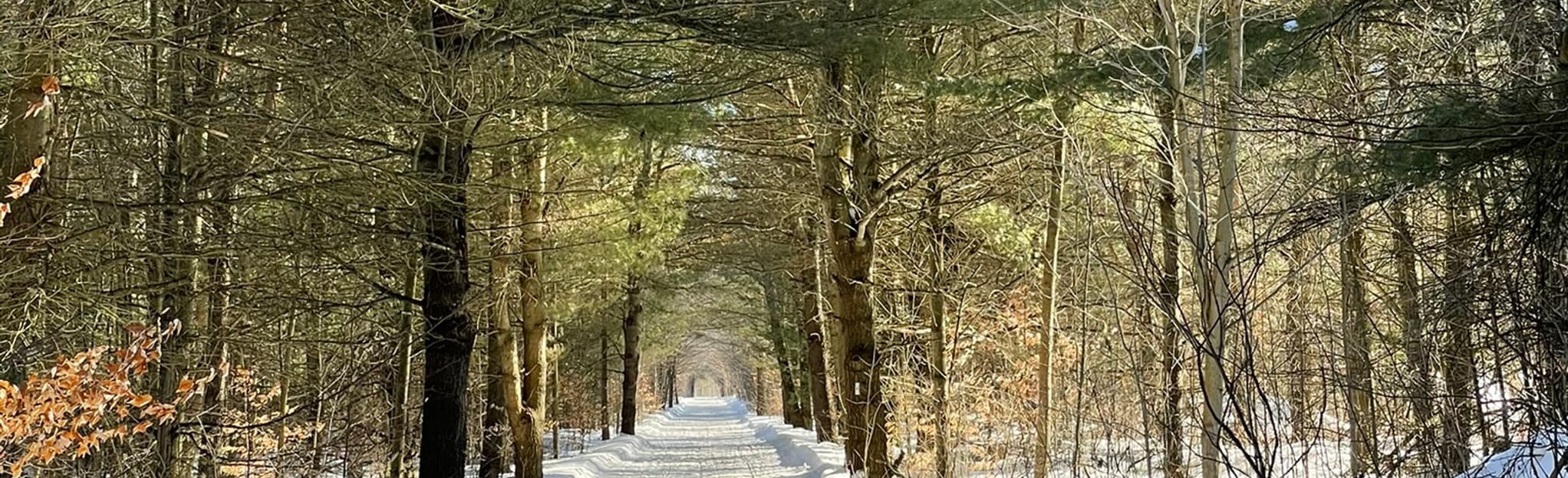 Tiny Rail Trail - Ontario, Canada | AllTrails