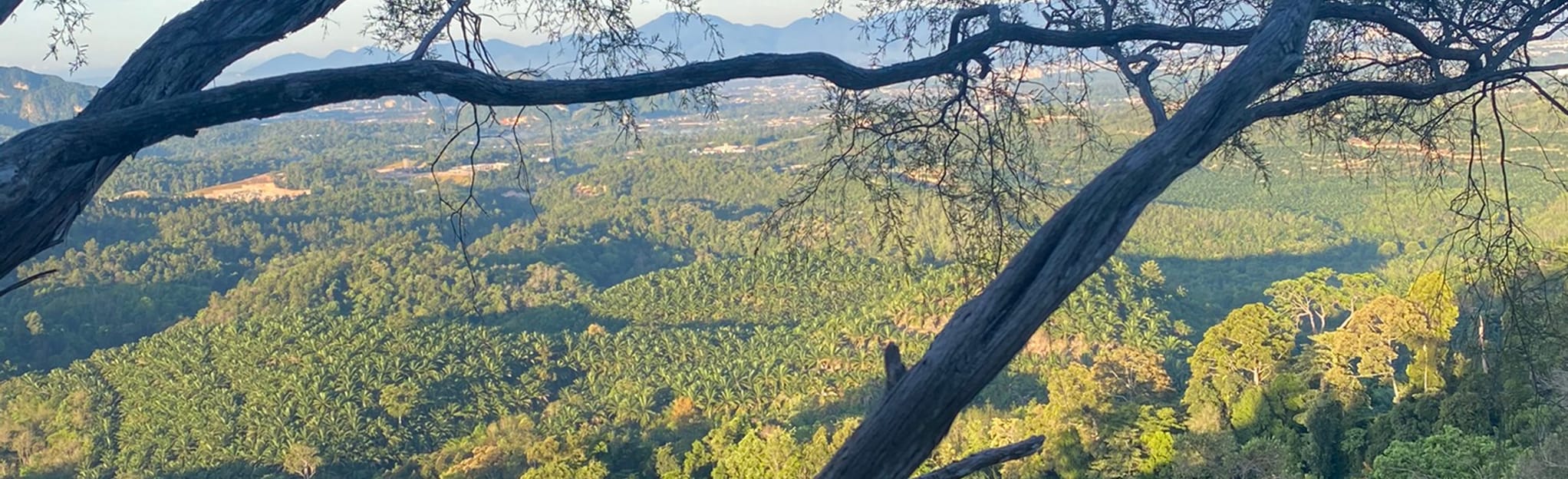 Bukit Batu Suloh: 20 Reviews, Map - Perak, Malaysia | AllTrails