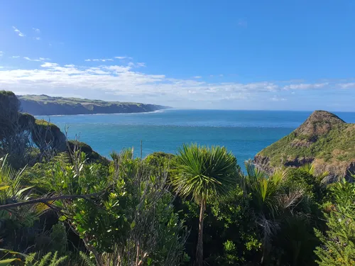 Best 10 Hikes and Trails in Waitakere Ranges Regional Park | AllTrails