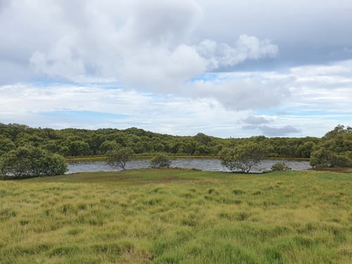 2023 Best River Trails in Boondall Wetlands | AllTrails