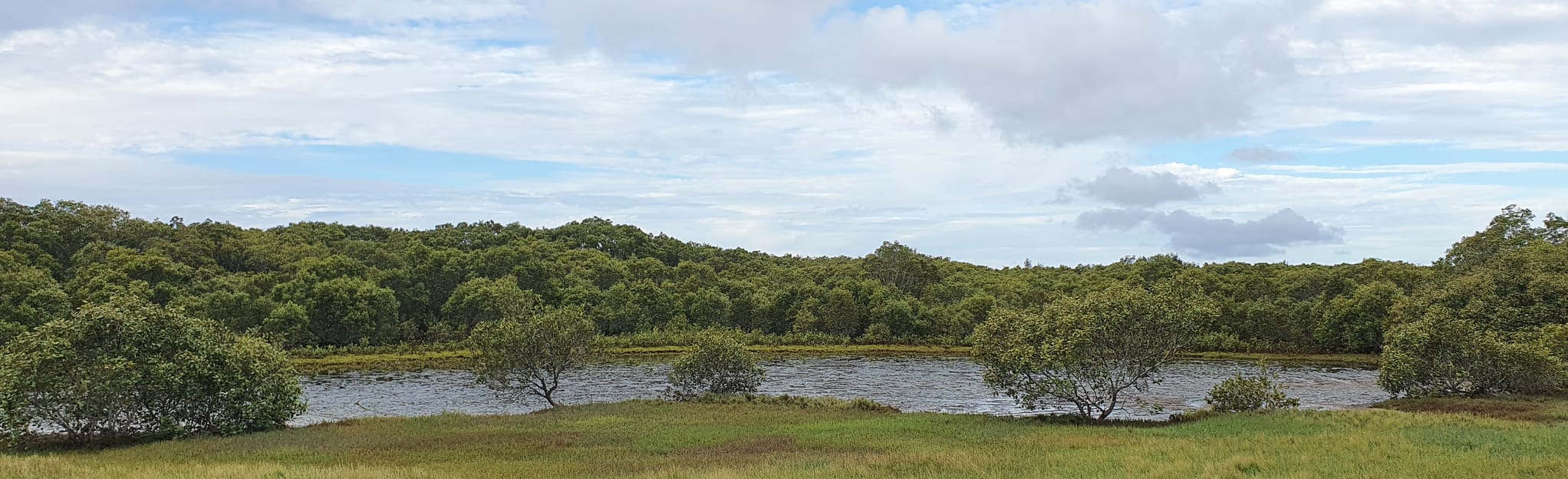 Boondall Nudgee Track: 89 Reviews, Map - Queensland, Australia | AllTrails