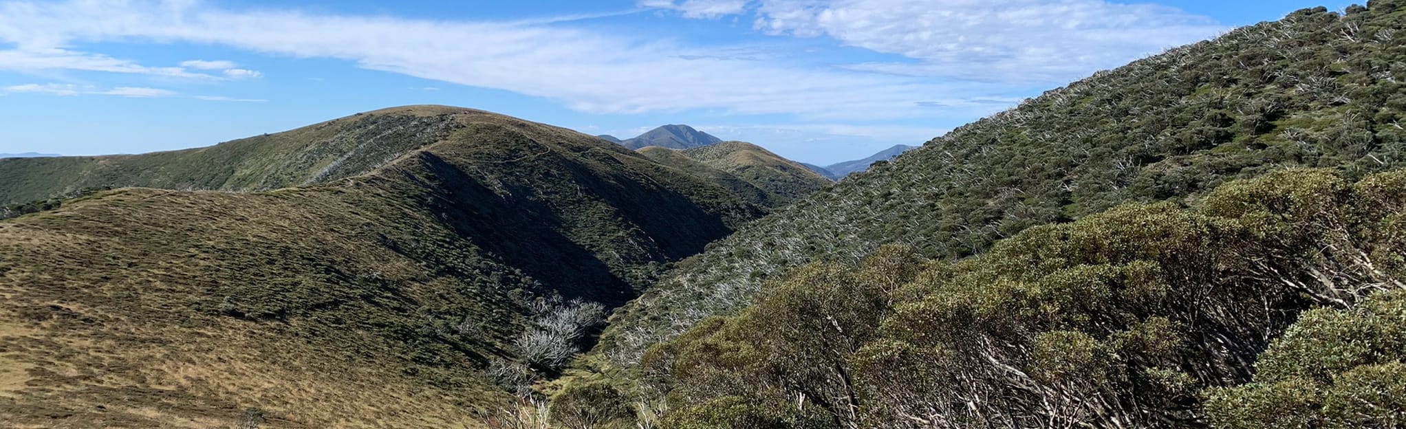 7 Peaks Ride: Mount Hotham: 5 Reviews, Map - Victoria, Australia | AllTrails