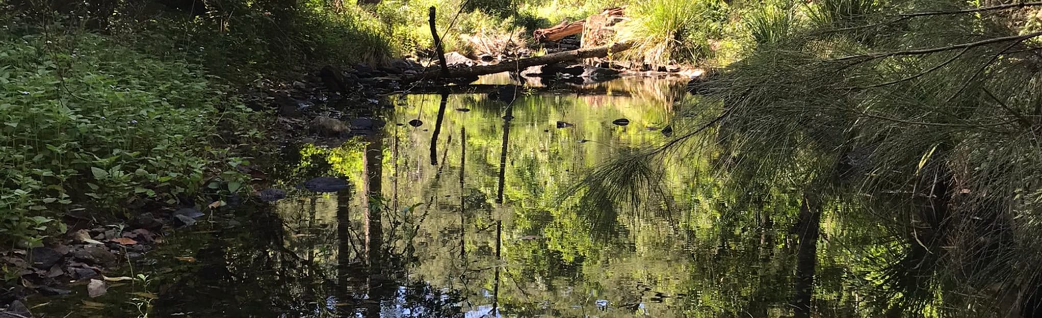 Summer Creek Explorer, Queensland, Australia - 3 Reviews, Map | AllTrails