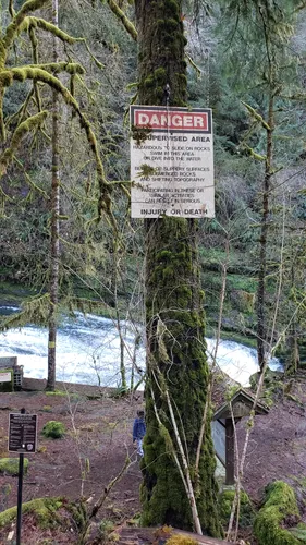 Best Hikes and Trails in Blachly | AllTrails