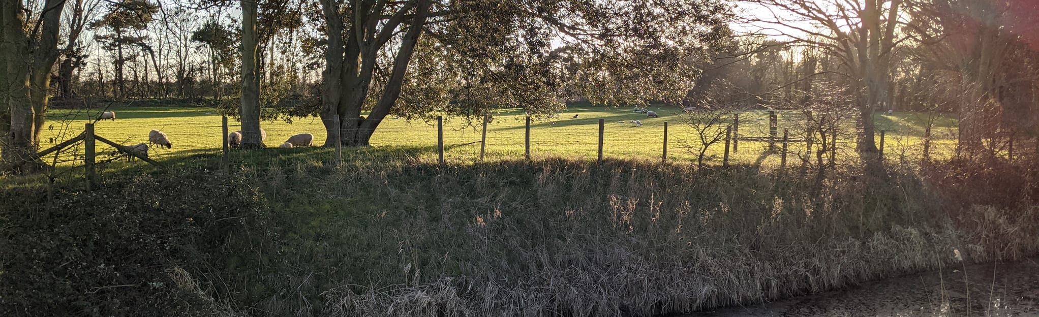 Stour Valley Walk, Kent, England - 106 Reviews, Map | AllTrails