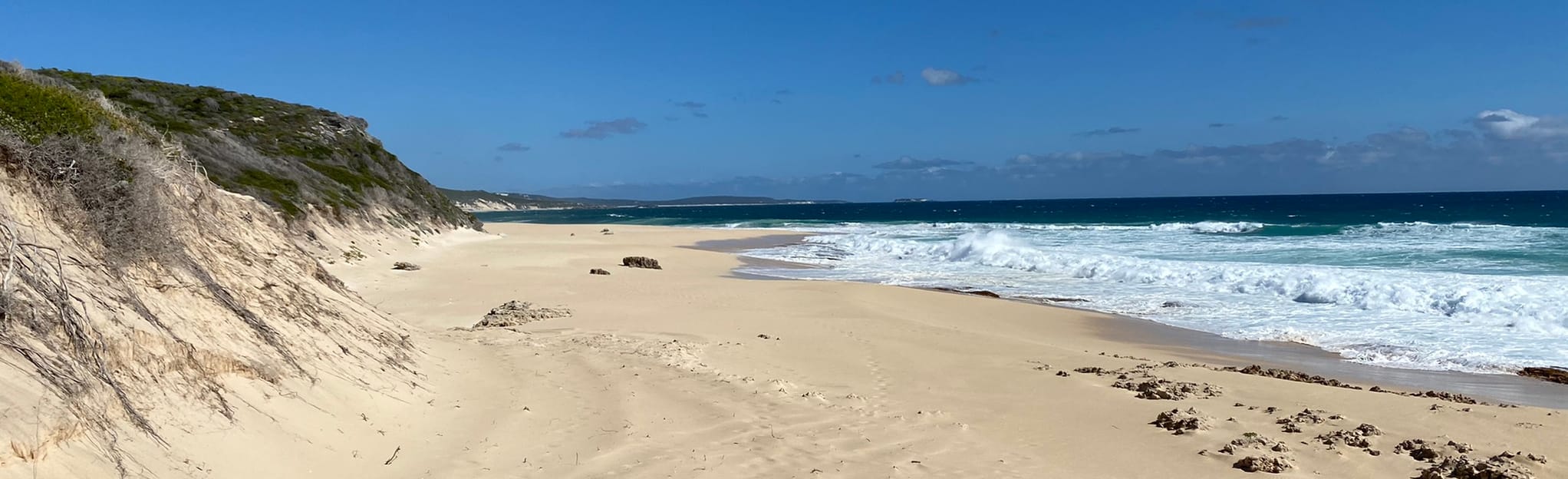 AllTrails | Boranup Drive, Hooly Drive & Grace Road to Boranup Beach: 7 ...