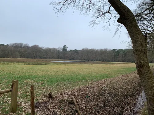 10 Best Backpacking Trails in Drentsche Aa National Park | AllTrails