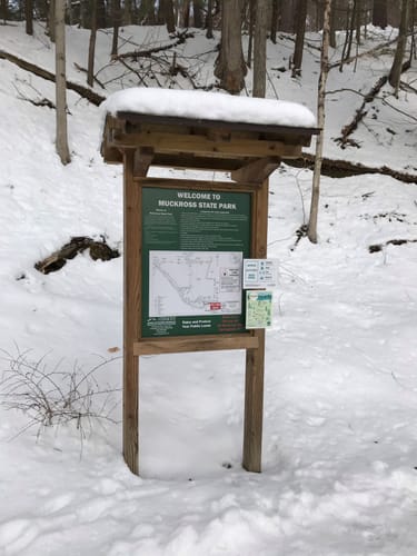 Best Hikes and Trails in Muckross State Park | AllTrails