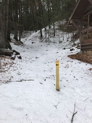 Best Hikes and Trails in Muckross State Park | AllTrails