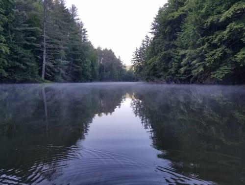 Best Hikes and Trails in Muckross State Park | AllTrails