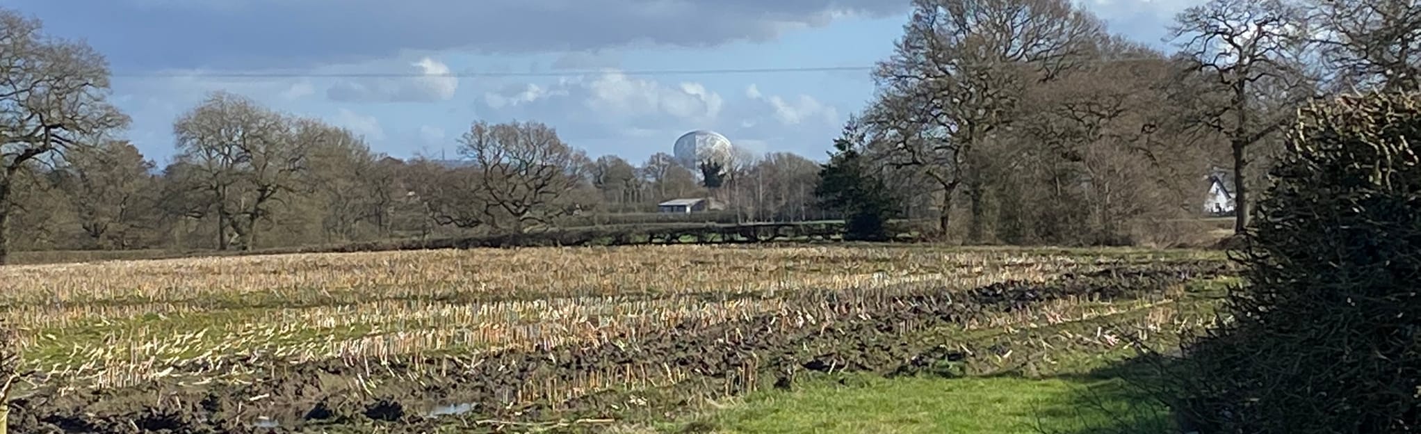 Lower Peover Circular: 56 Fotos - Cheshire, England | AllTrails