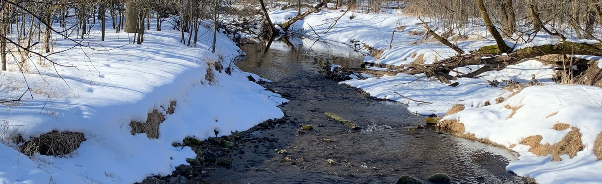 The Tower via South Trail, West Prairie, Lone Oak | Map, Guide ...