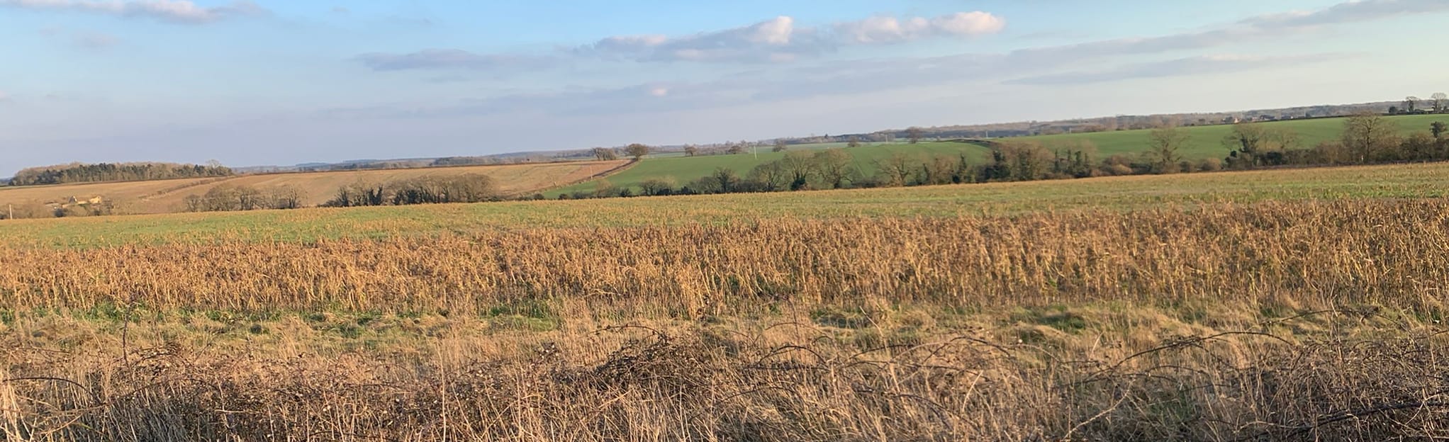 Cogenhoe Circular: 31 Reviews, Map - Northamptonshire, England | AllTrails