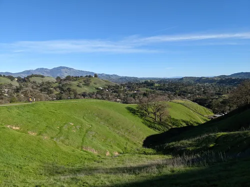 Best 10 Hikes and Trails in Briones Regional Park | AllTrails