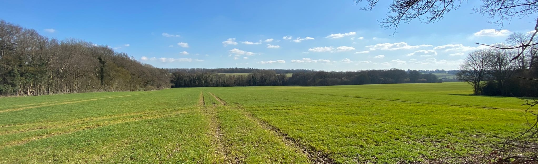 Hadleigh Railway and Raydon Great Wood Circular: 49 Fotos - Suffolk ...