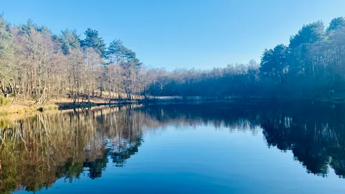 Best Hikes and Trails in Yateley Common Country Park | AllTrails