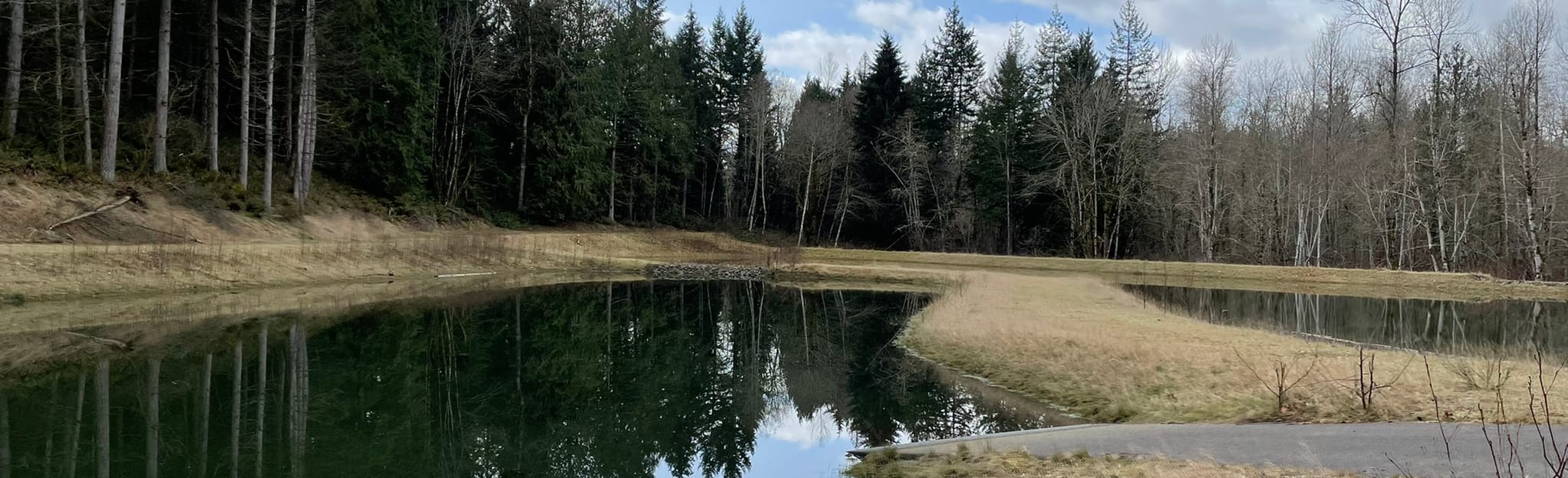 Forest Loop Trail: 50 Reviews, Map - Washington | AllTrails