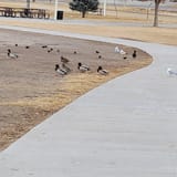 Jensen Park Trail, Utah - 253 Reviews, Map | AllTrails