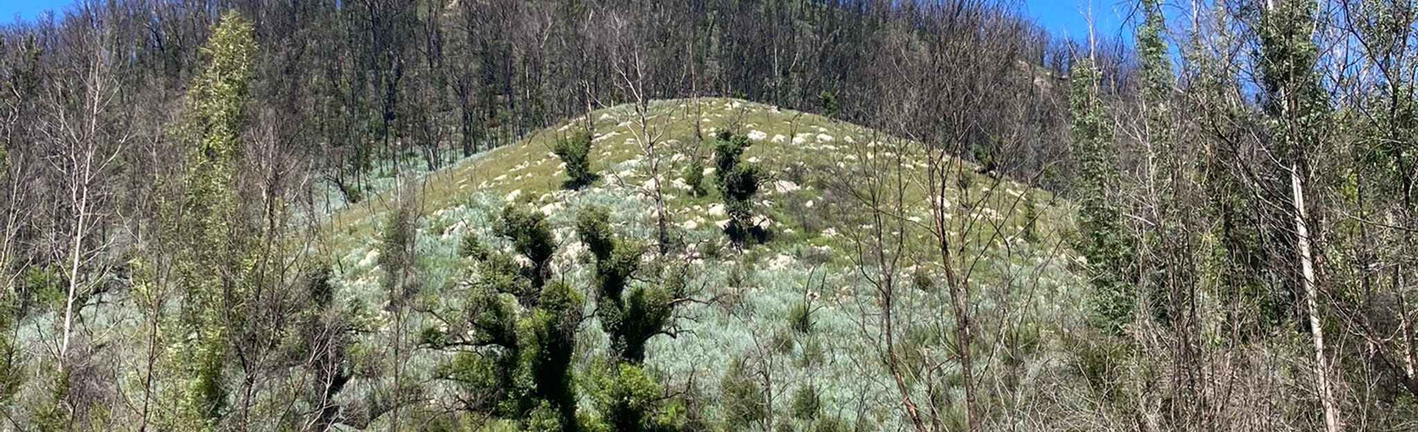 Bendethera Cave Walking Track [CLOSED], New South Wales, Australia - 4 ...