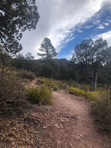 10 Best Trails and Hikes in Pine | AllTrails