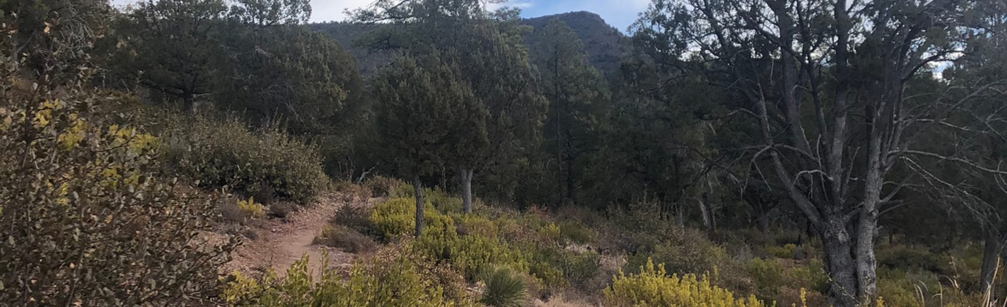 Highline and Pine Trail Loop | Map, Guide - Arizona | AllTrails