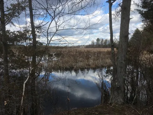 Best Hikes and Trails in Burrage Pond Wildlife Management Area | AllTrails