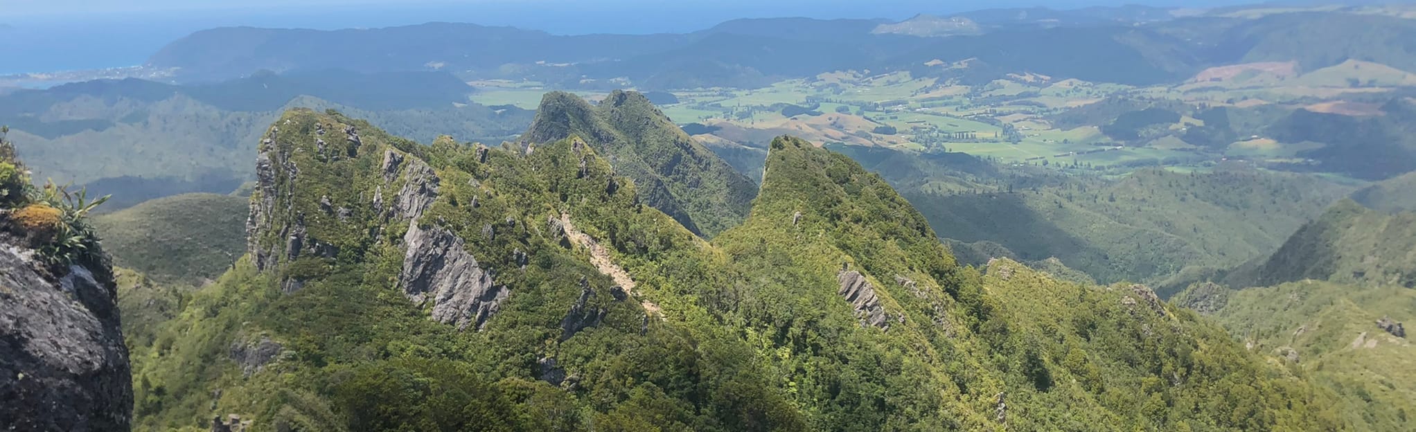 The Pinnacles Loop Track, Waikato, New Zealand - 277 Reviews, Map ...
