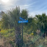 Picayune Strand Forest Purple Loop, Florida - 30 Reviews, Map | AllTrails