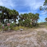 Picayune Strand Forest Purple Loop, Florida - 22 Reviews, Map | AllTrails
