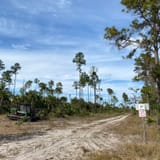 Picayune Strand Forest Purple Loop, Florida - 30 Reviews, Map | AllTrails