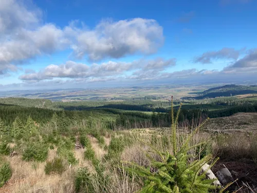 Best Mountain Biking Trails in Dunn State Forest | AllTrails