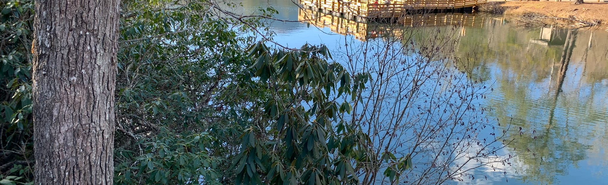 Hard Times Road, Homestead Trail and South Ridge Road Loop: 453 Reviews ...