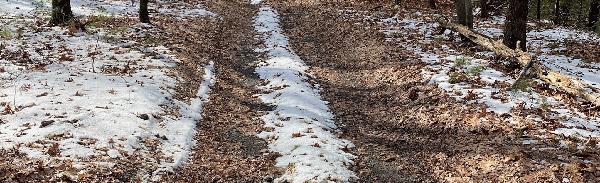 Graham Fire Tower via Shawangunk Ridge Trail: 57 Reviews, Map - New ...