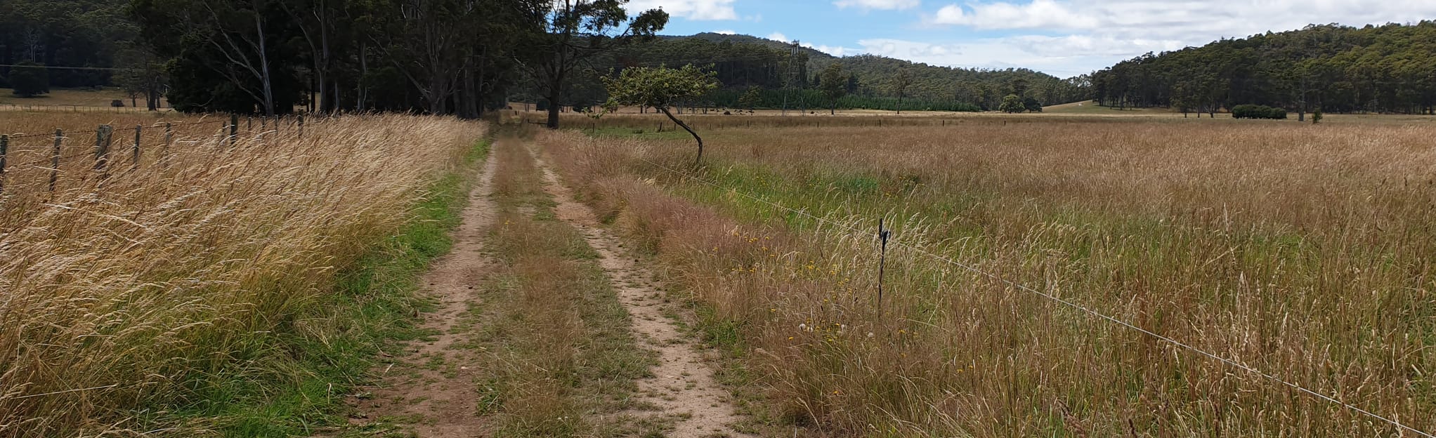 Redwater Creek Falls Walk: 43 Reviews, Map - Tasmania, Australia ...