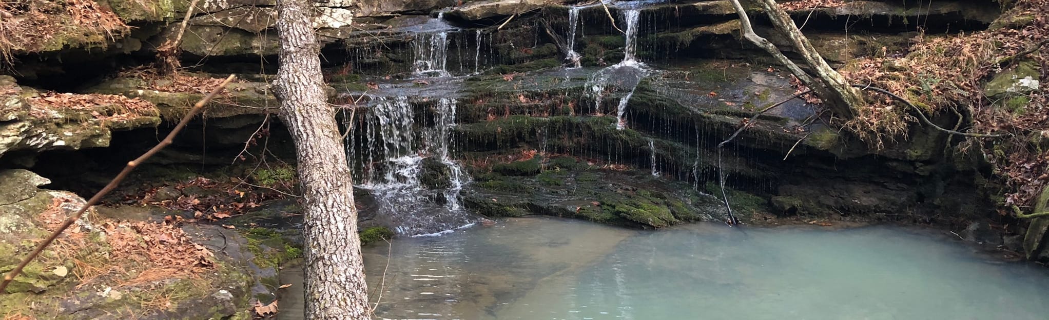 Long Pool Upper and Twister: 19 Reviews, Map - Arkansas | AllTrails