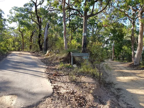 10 Best Hikes and Trails in Yengo National Park | AllTrails