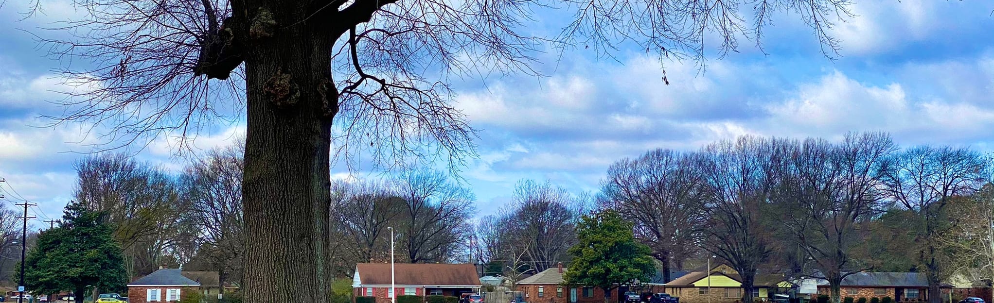 Goodwin Park, Tennessee - 5 Reviews, Map | AllTrails