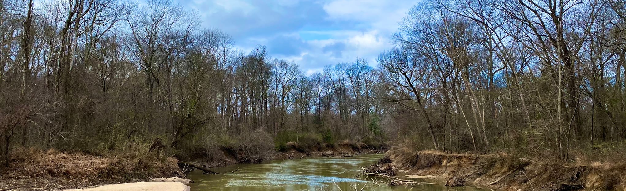 Wolf River Access Point Trails: 22 Reviews, Map - Tennessee | AllTrails