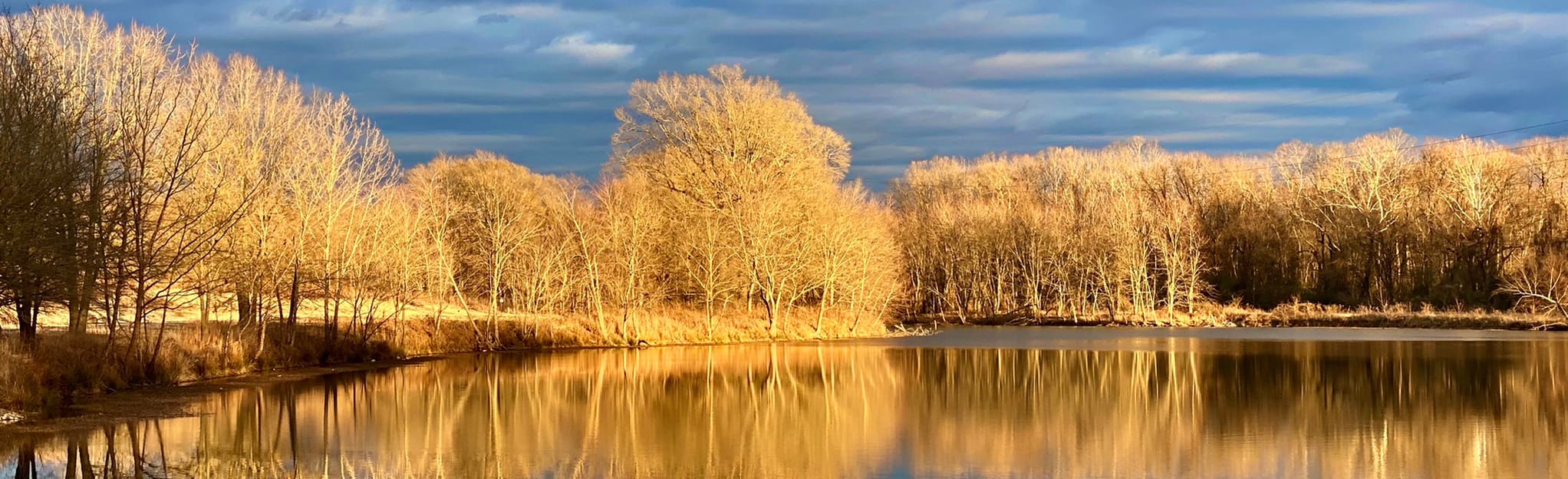 Wolf River Greenway via Epping Way Drive, Tennessee - 39 Reviews, Map ...