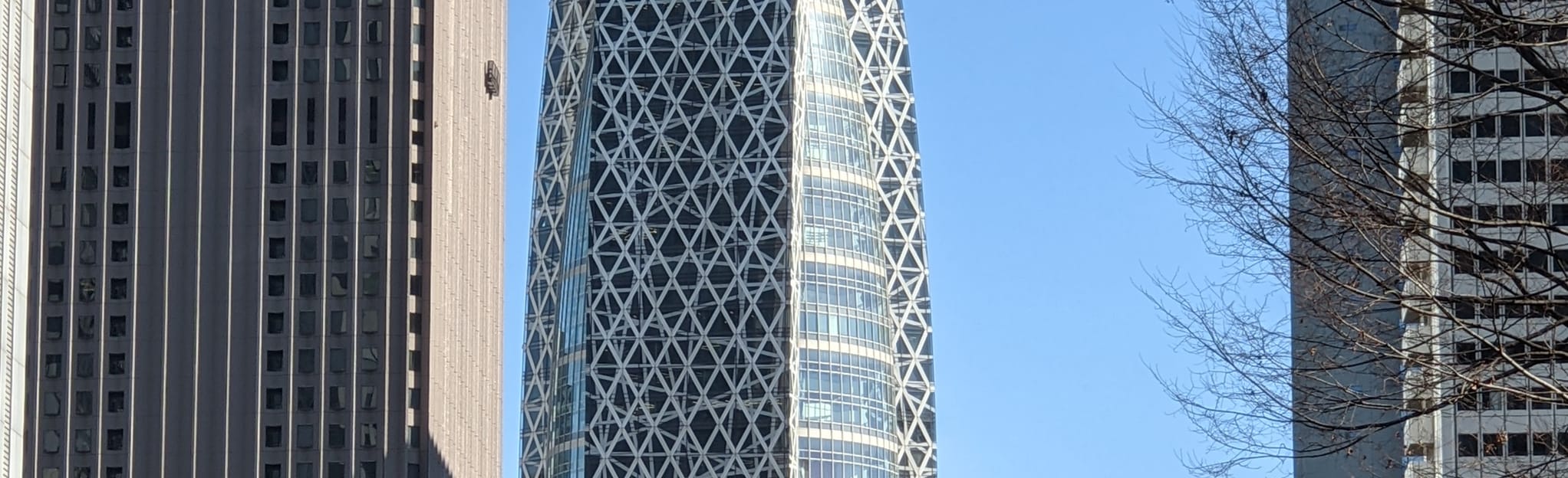 Fujimi Dai, Tokyo, Japan - Map, Guide | AllTrails