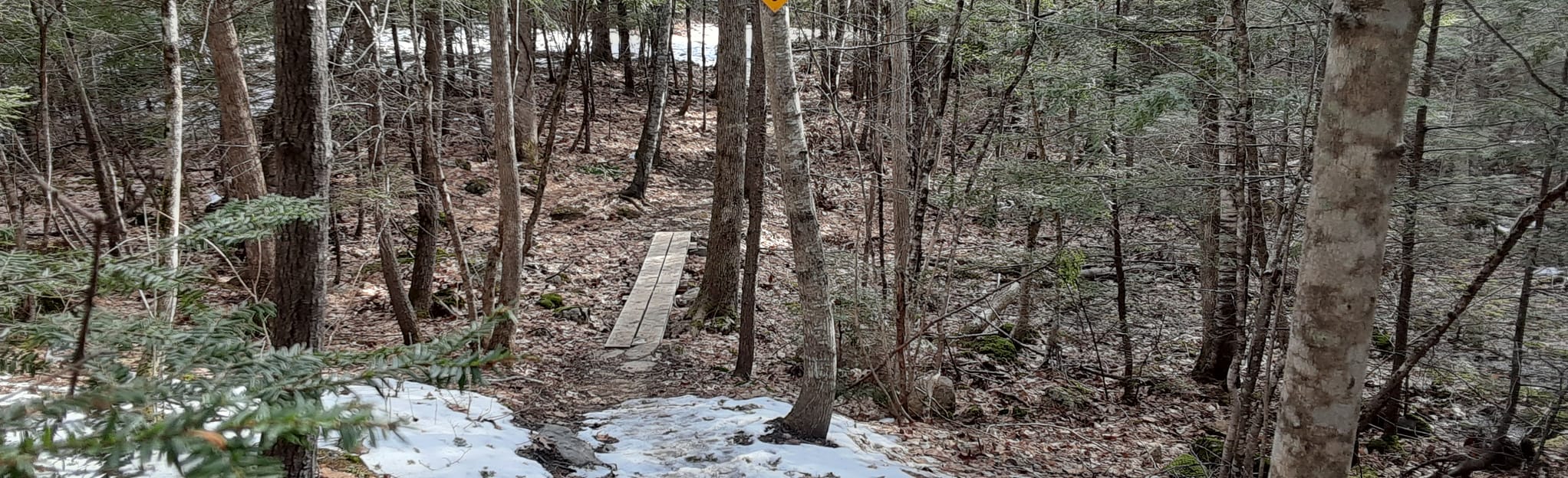 Spiller Homestead and Grape Expectations Trail Loop, Maine - 61 Reviews ...