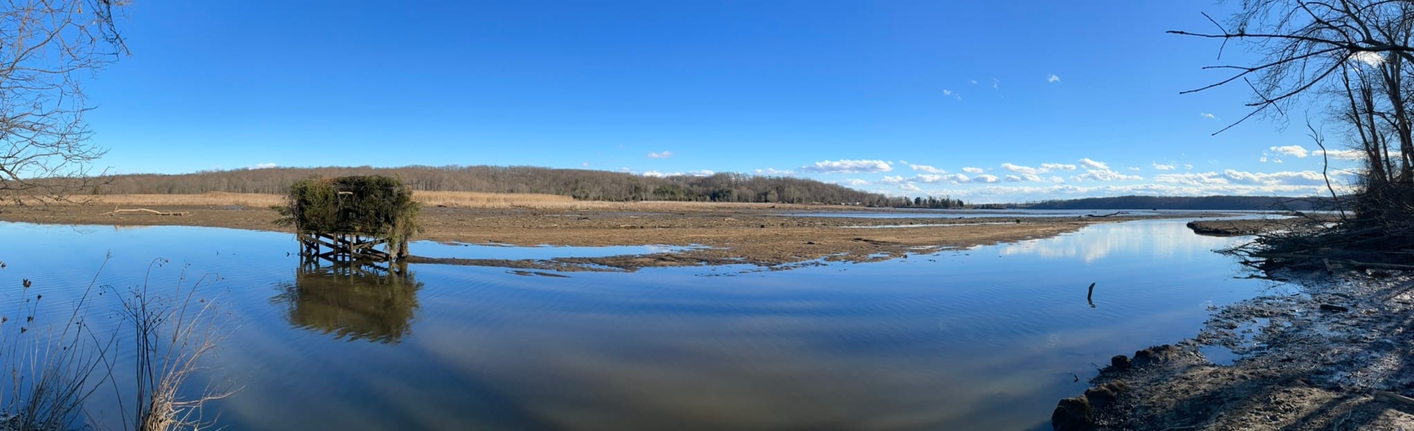 McCarty Trail | Map, Guide - Virginia | AllTrails