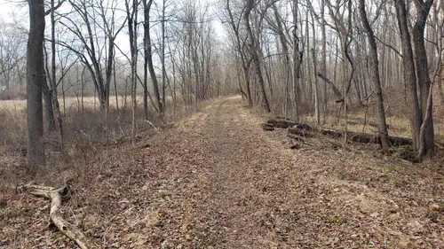 Best Hikes and Trails in Neshanic Station | AllTrails