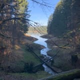 Hagg Lake Trail Section H, Oregon - 159 Reviews, Map | AllTrails